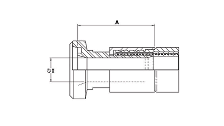 End fittings for Aflex PTFE hoses | WMFTS